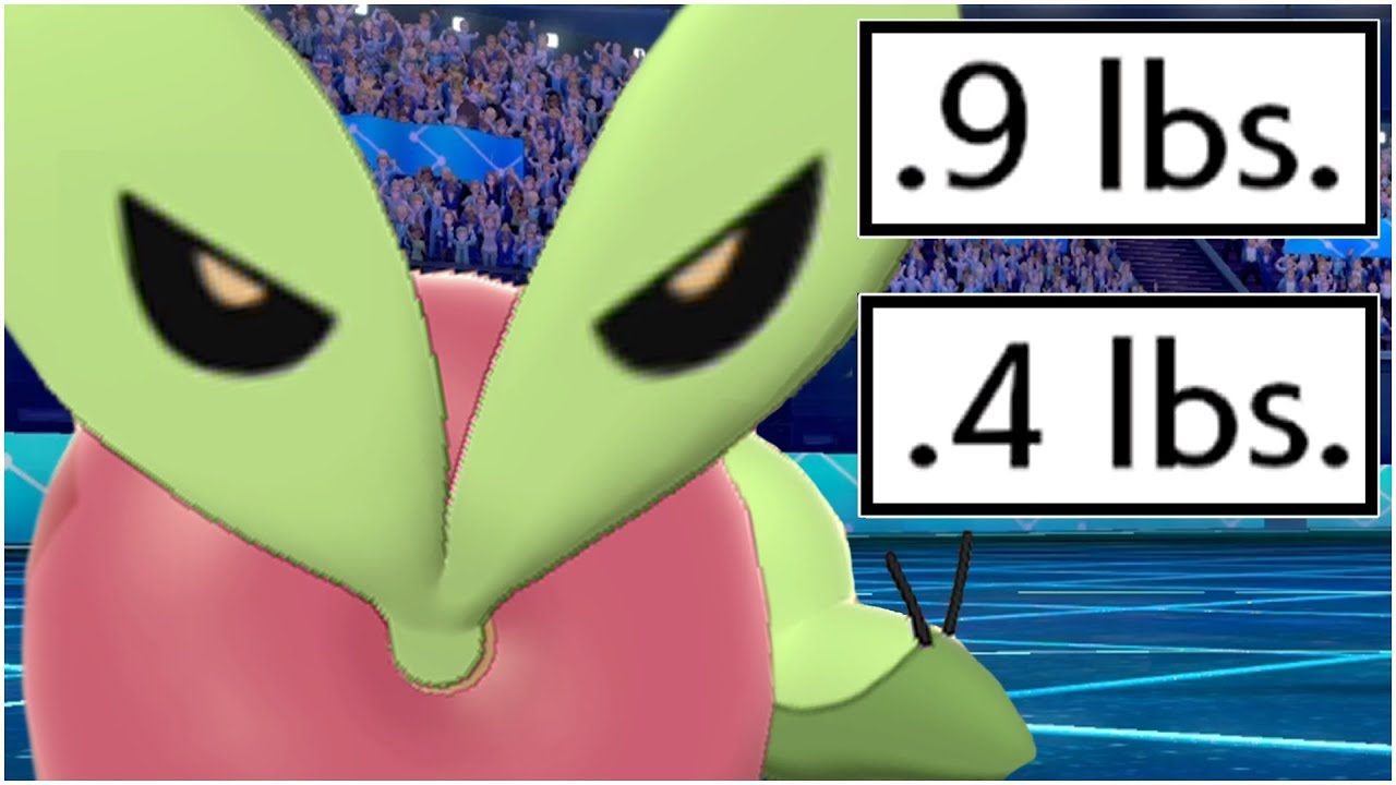 FULL LIGHTEST POKEMON TEAM! ( GEN 8 ) - YouTube