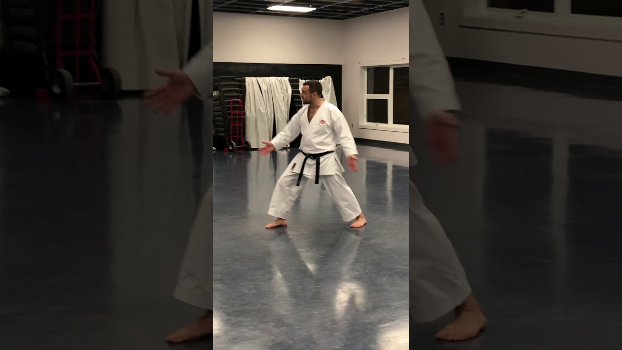 Hidden Fortress Karate - a brief explanation of inner and outer tension ...