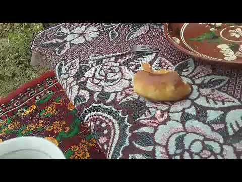 Оллохни мужизаси мана