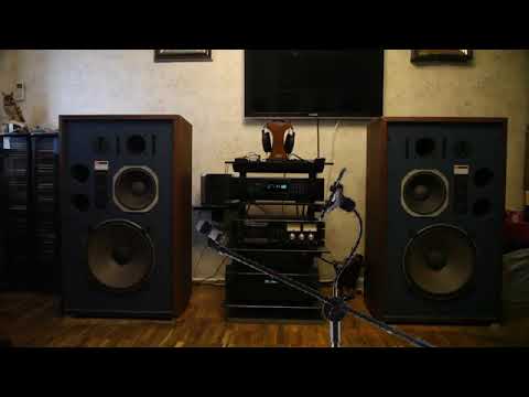 Sinaya - Buried by Terror