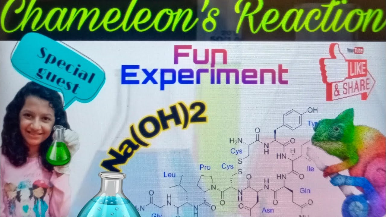 Chameleon's Reaction#Science experiment #Niva'sPathshala - YouTube