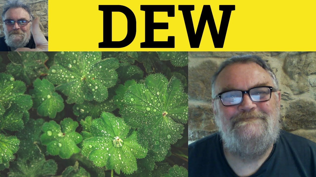 🔵 Dew Meaning - Dew Defined - Dew Examples - CAE Nouns - Dew Dewey ...