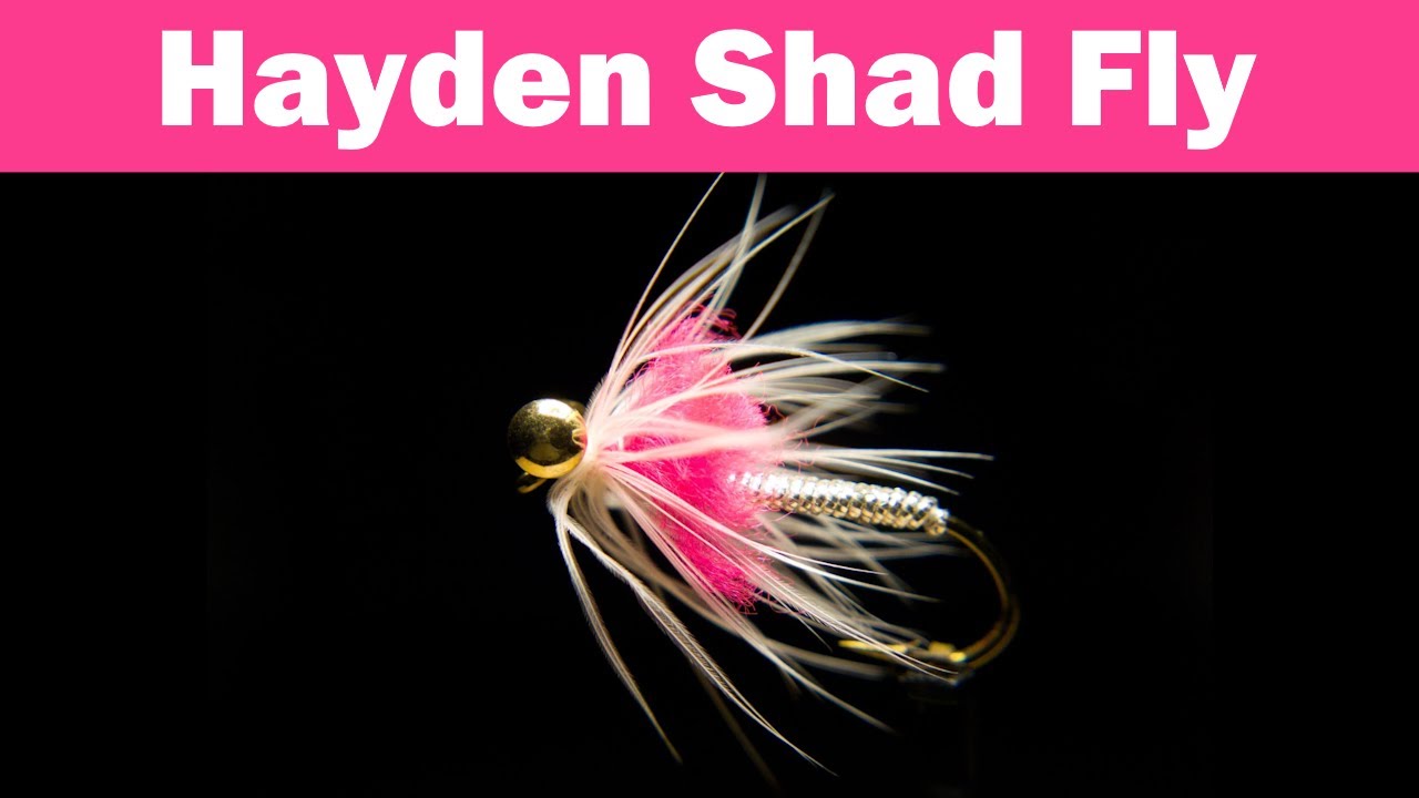 Tying the Hayden Shad Fly | Easy Step-by-Step Tutorial - YouTube