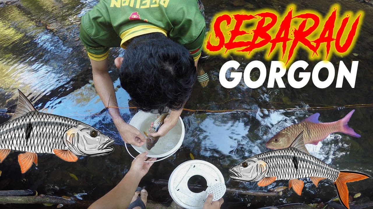 Trip ke Lubuk SEBARAU GORGON - YouTube