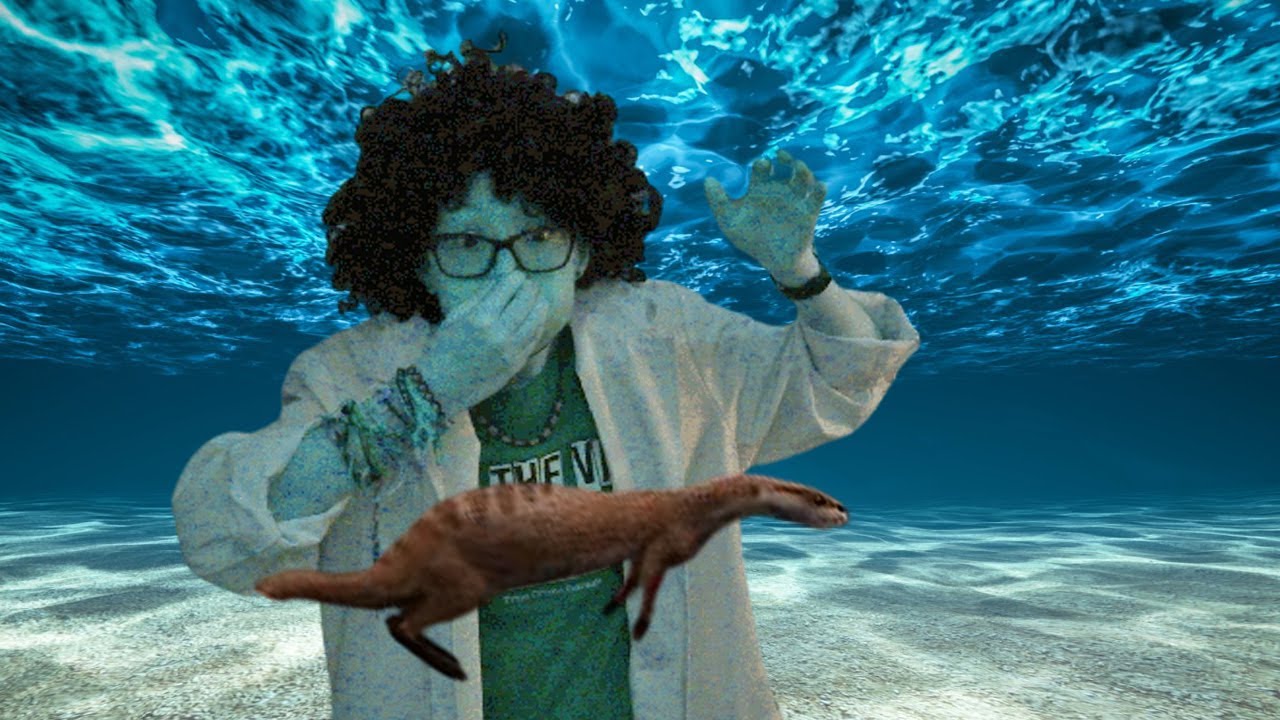 Potamotherium - YouTube