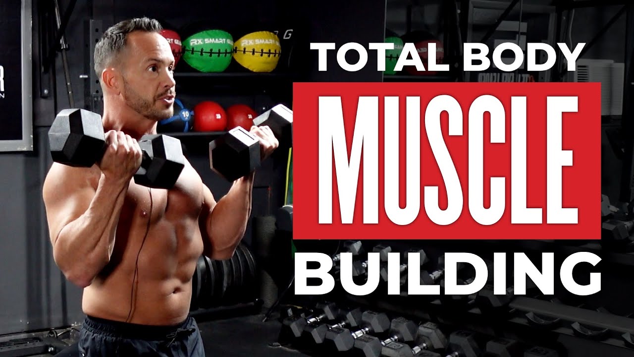 Total Body MUSCLE BUILDING - Full Movement Instruction - YouTube