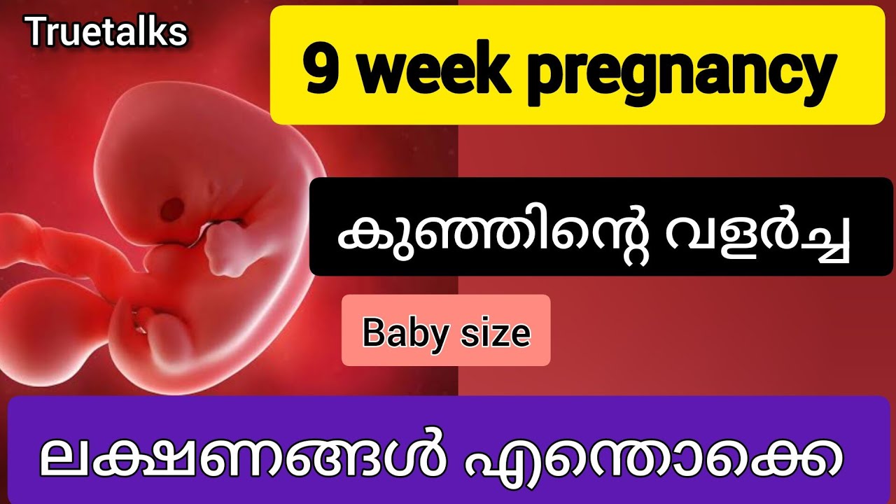 9 weeks pregnancy symptoms / week by week pregnancy 9 ആഴ്ച്ച ആകുമ്പോ ...