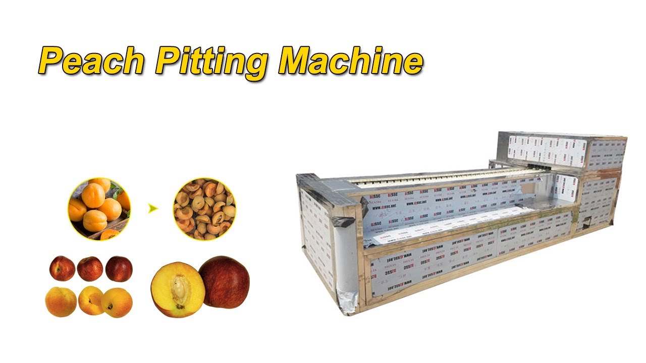 Peach Pitting Machine and Half-Cutting Machine | Fruit Core Removing ...