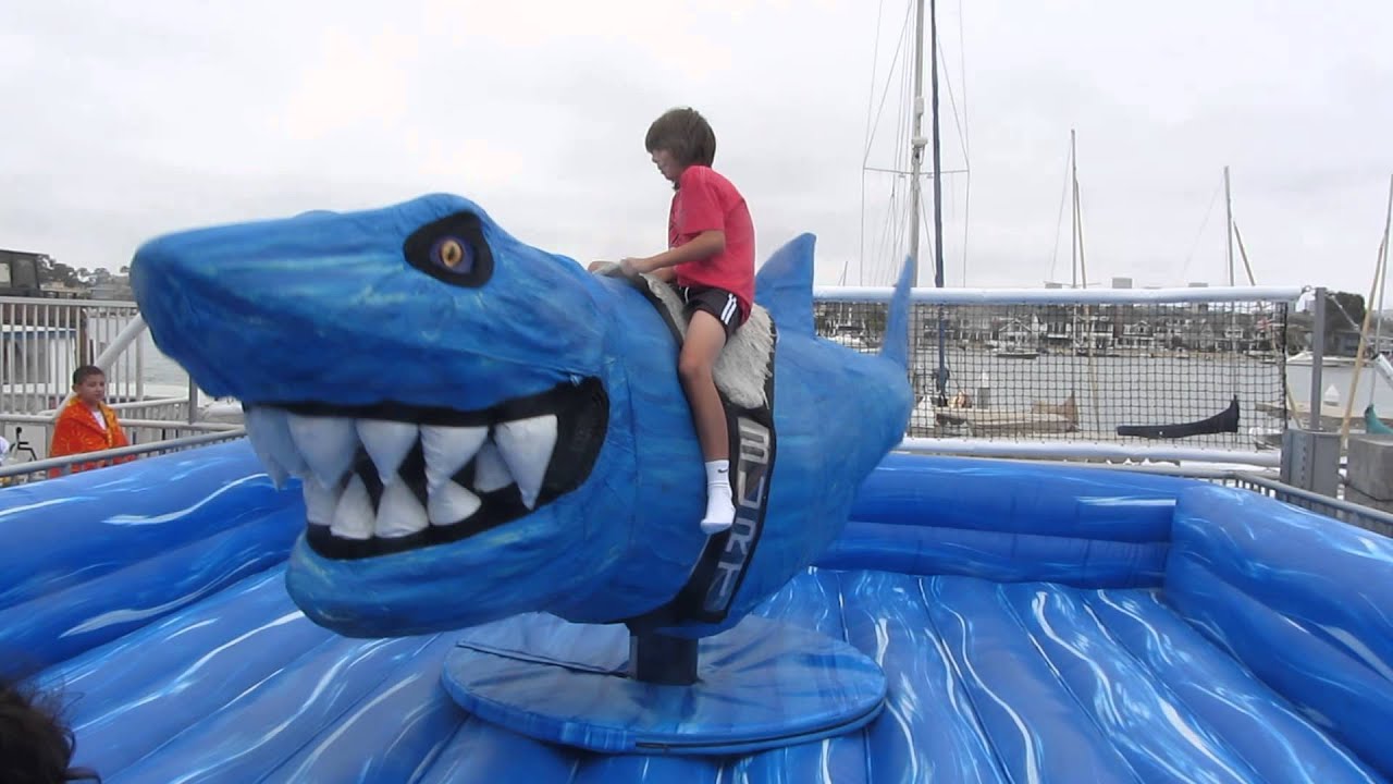 Bull Shark - YouTube