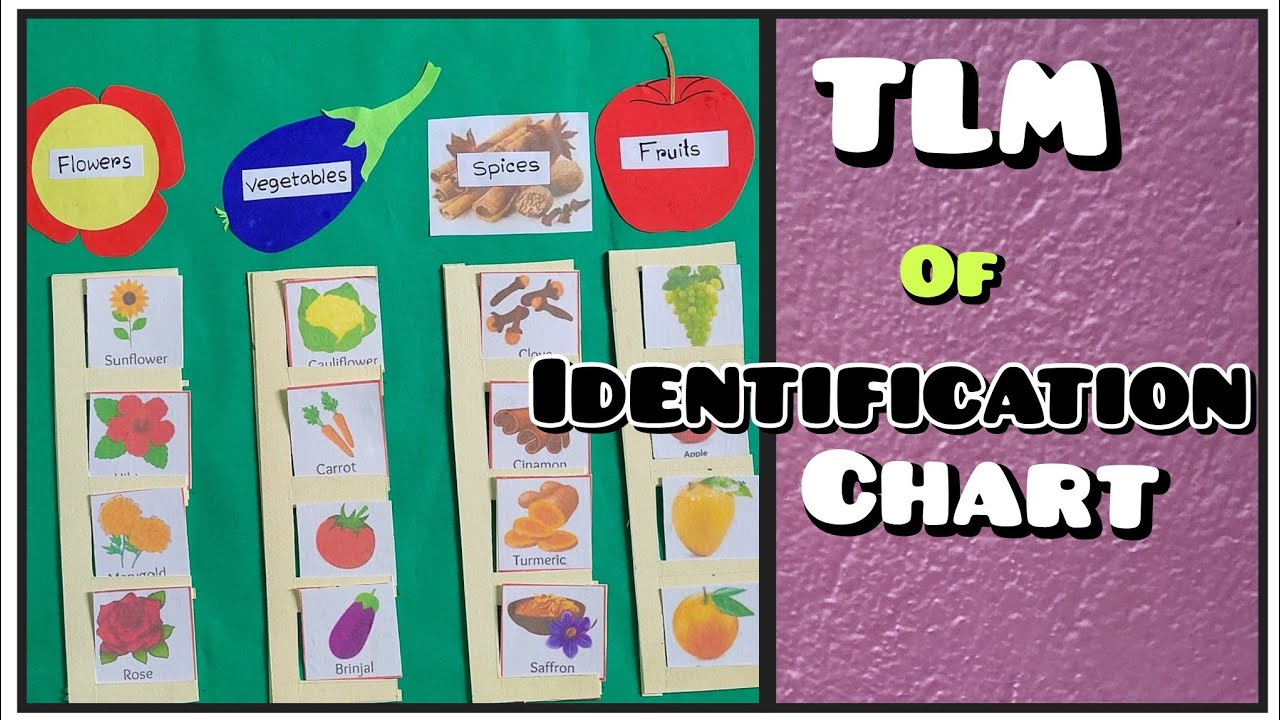 TLM of identification chart ( fruits,vegetables, flowers, spices) - YouTube