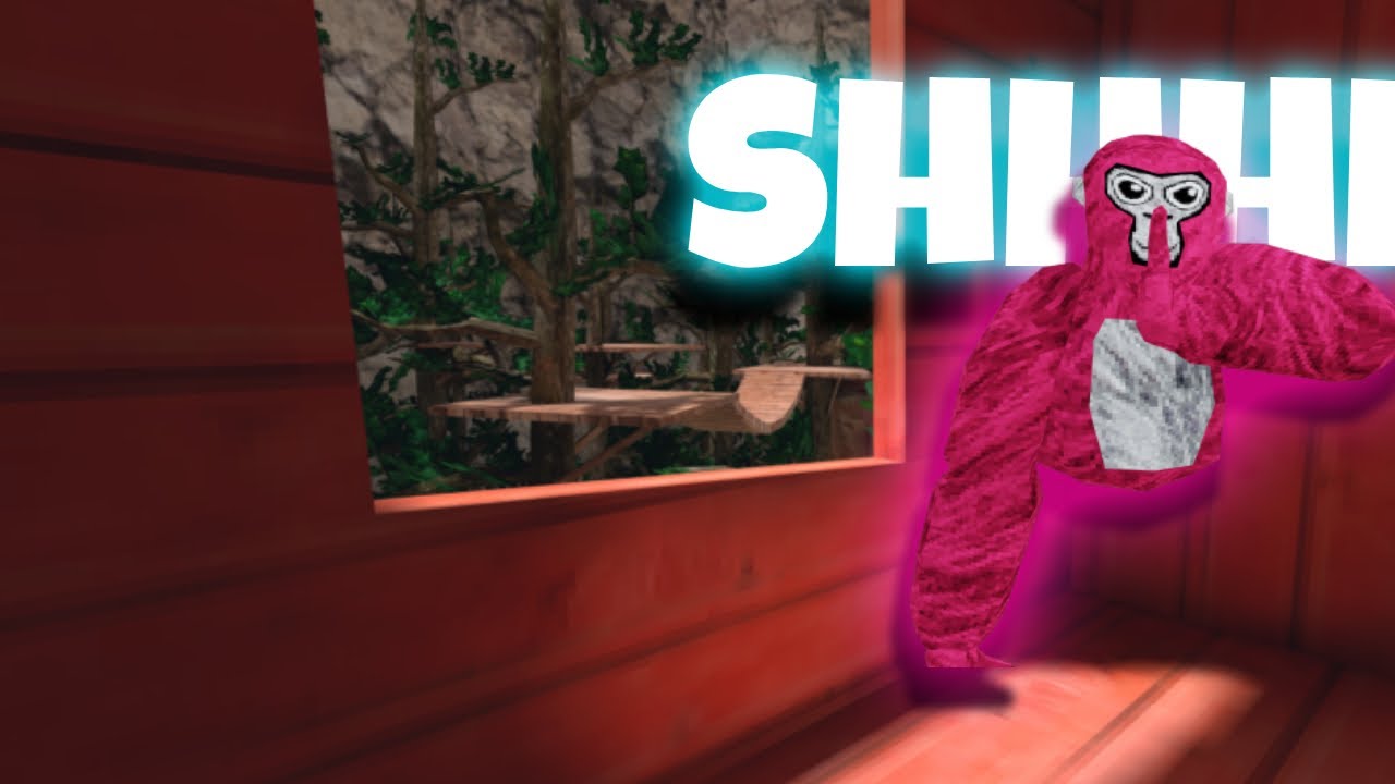 Extreme hide and seek CHALLENGE! - YouTube