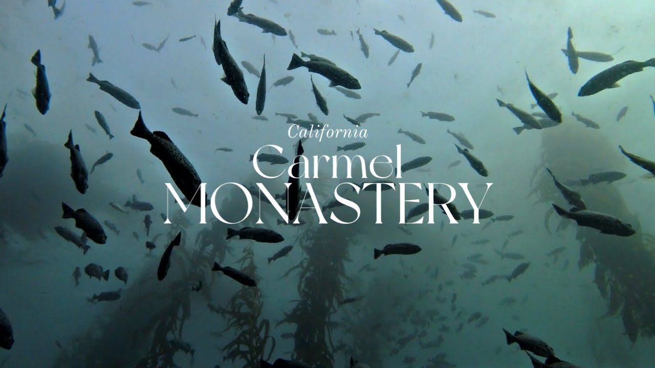 Dive with Tina #3 | North Monastery Carmel-by-the-Sea Scuba Diving ...