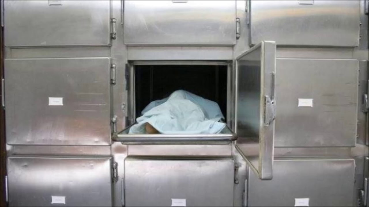 Woman Wakes Up In Morgue As Doctors Prepared To Harvest Her Organs ...