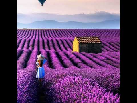 Nuri sesigüzel..Bitmez Tükenmez geceler..