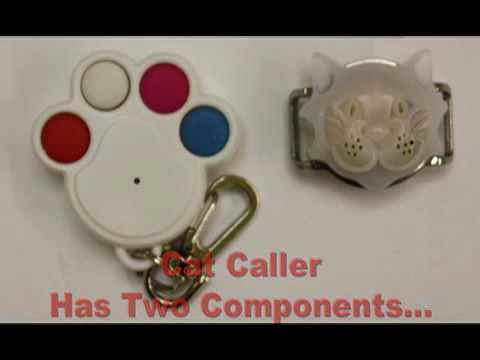 The Cat Caller Information - YouTube