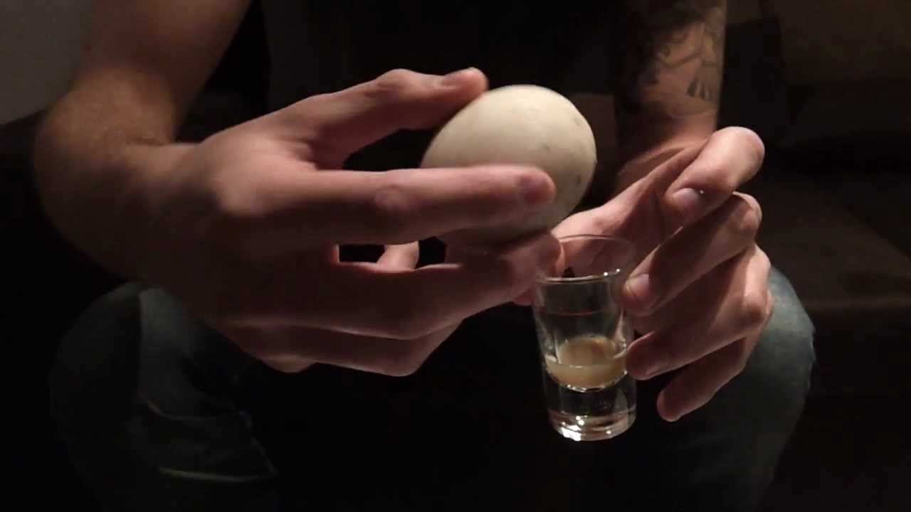 Tasty Balut - Halb angebrütete Eier 2/2 - YouTube