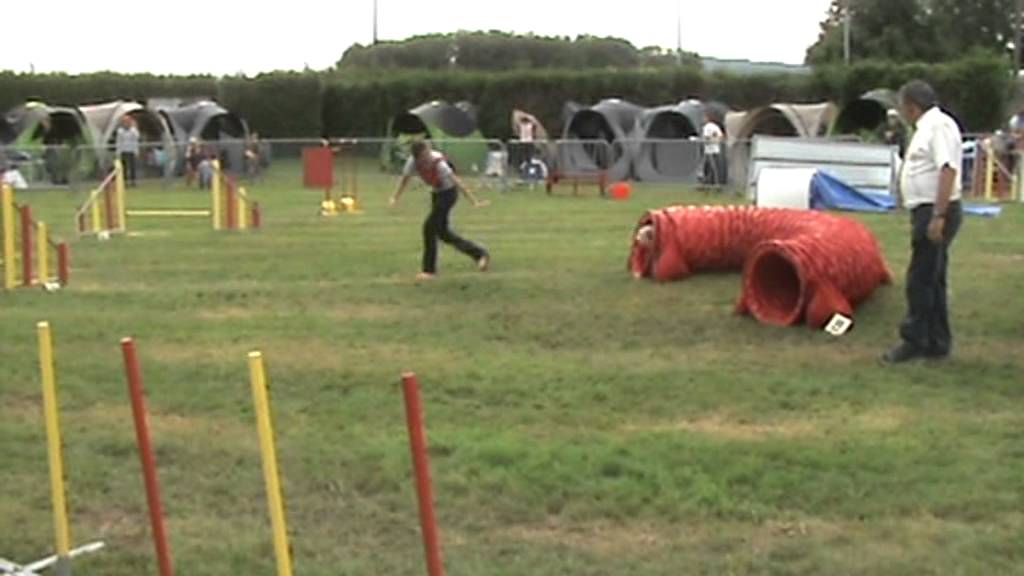 Victor jumping plus catégorie A Autun juillet 2012 - YouTube