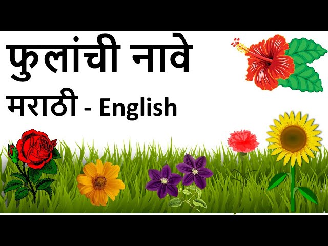 Flower Name In Marathi | Best Flower Site