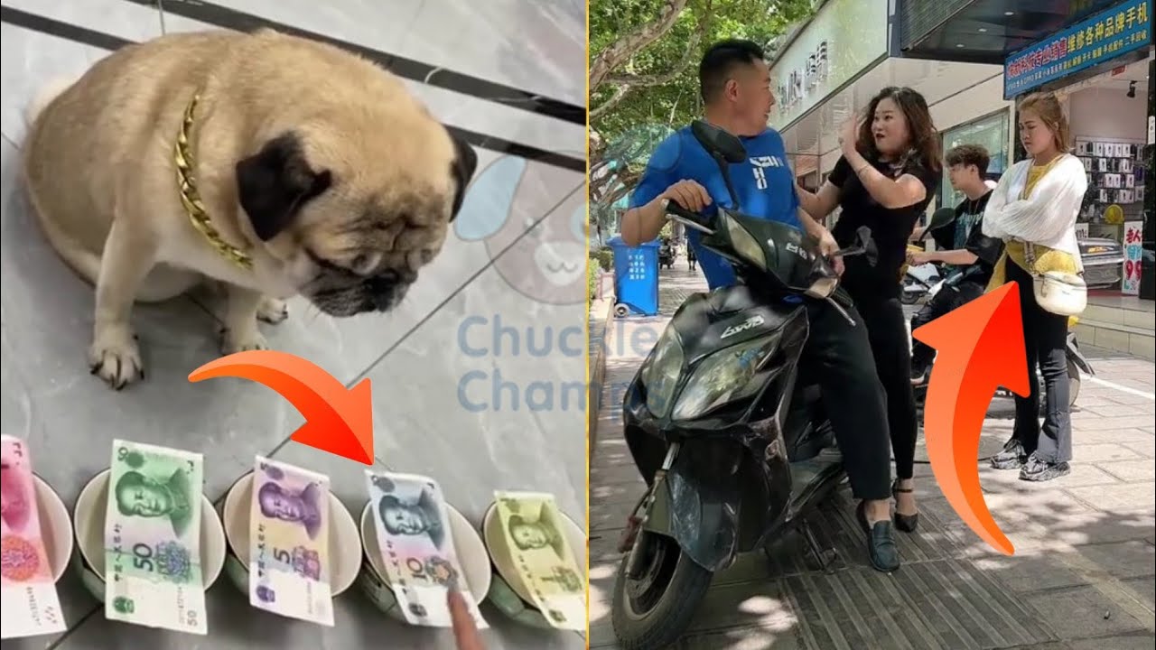Funny videos 2023, 😂 Chinese funny video, try not to laugh, 😜 Funny ...