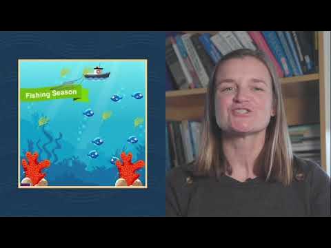 Primary RoboKids Level 1 Term 1 Lesson 17 - Overfishing Simulation ...