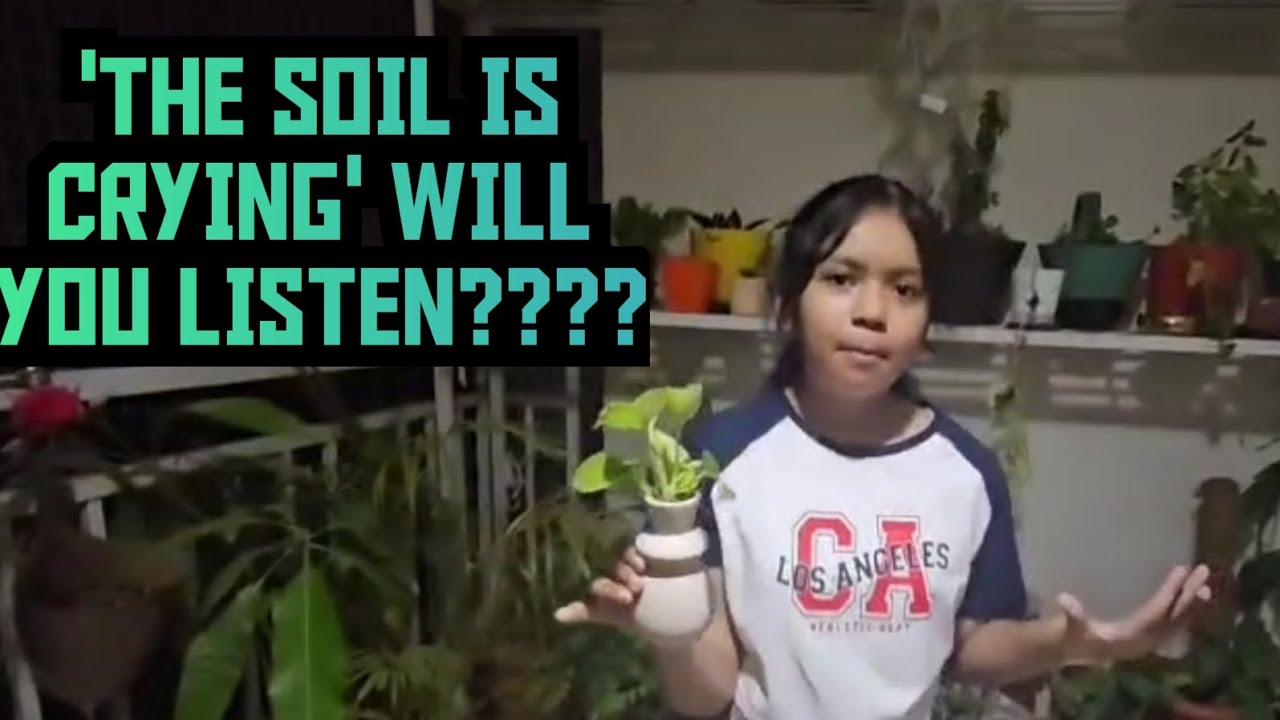 'THE SOIL IS CRYING" WILL YOU LISTEN???? - YouTube