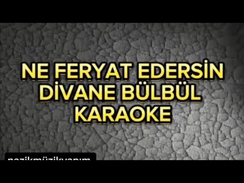 Ne feryat edersin divane bülbül - Karaoke