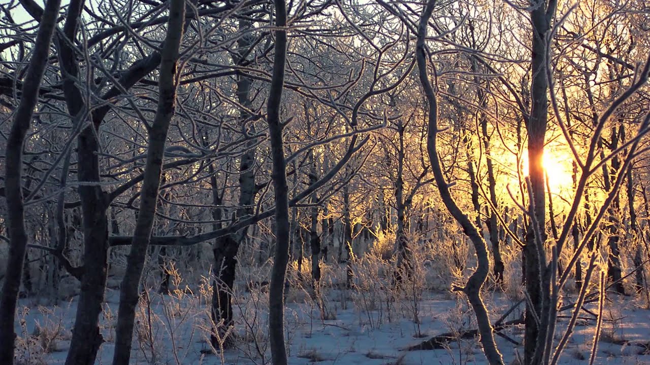 The King James Bible - Genesis - Chapter 22 - God asks Abraham to ...