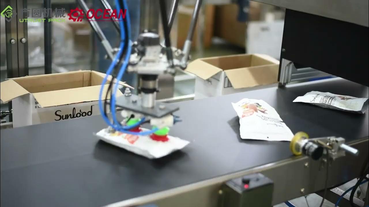 Pick Place Delta Robot Arm for Biscuit / High Speed Robot Arm 4 Axis - YouTube