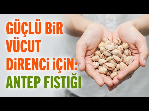 Antep Fıstığının Faydaları! | Faydalı Şeyler | Sağlıklı Yaşam Sırları