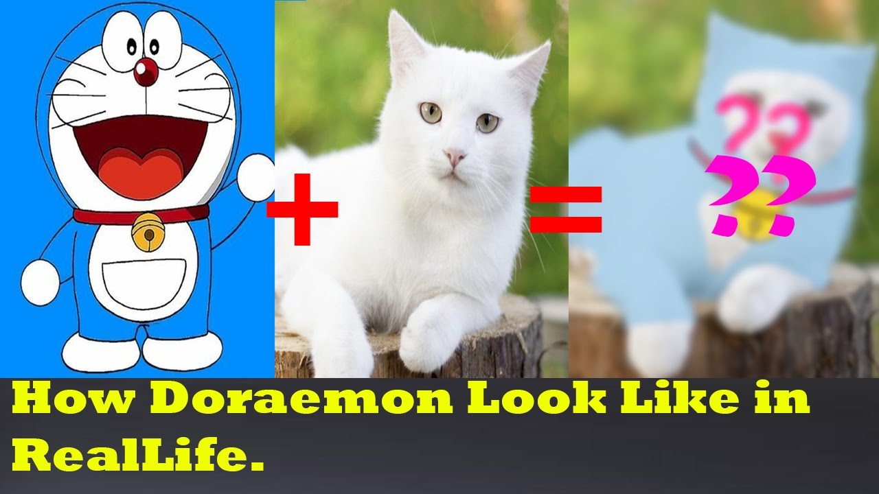 How Doraemon Look Like in RealLife | Doraemon Look Like in RealLife ...