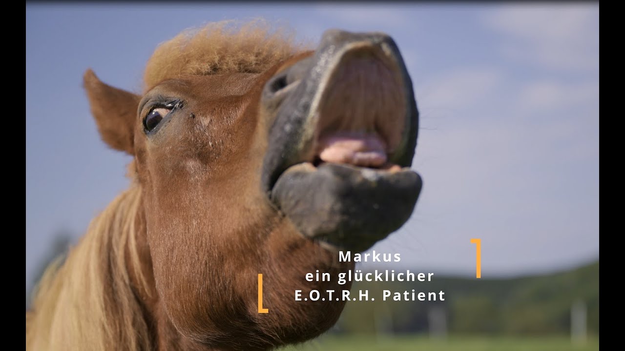 EOTRH Infovideo, Zahnerkrankung bei Pferden - YouTube