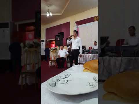 ORXAN TELMAN OGLU TOYLARDA 050 486 77 15