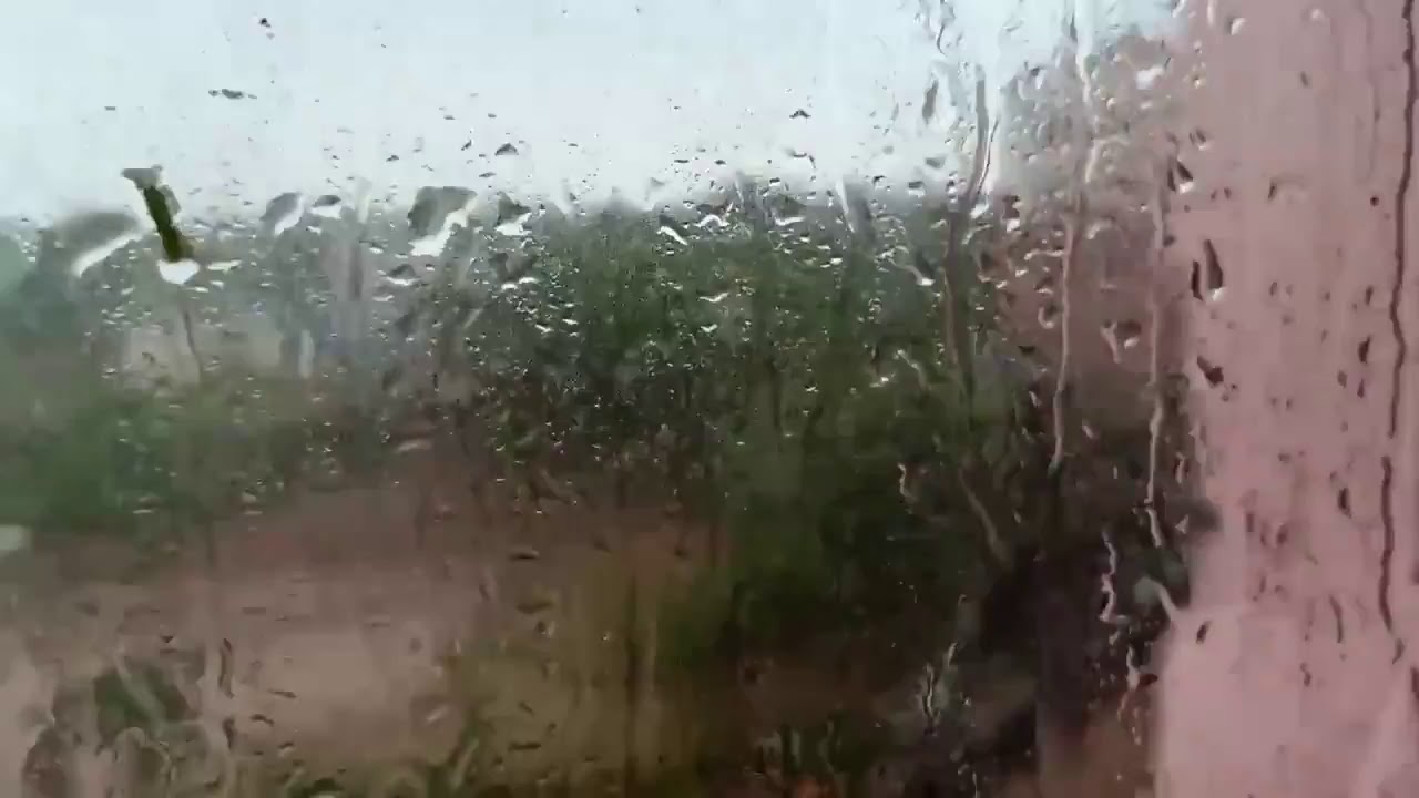 Cyclone Fani has hit Cuttack severely. Lots of trees are uprooted - YouTube