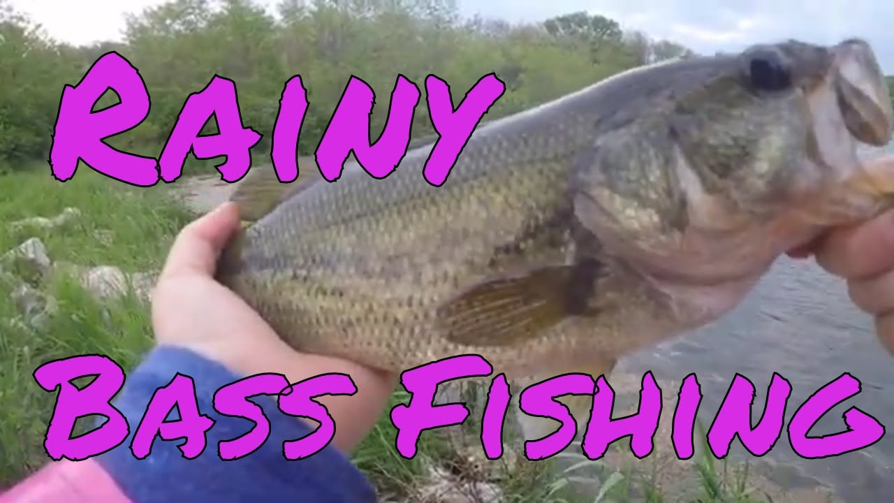 Rainy Bass Fishing (Lake Wapello Camp & Fish Part 1) - YouTube
