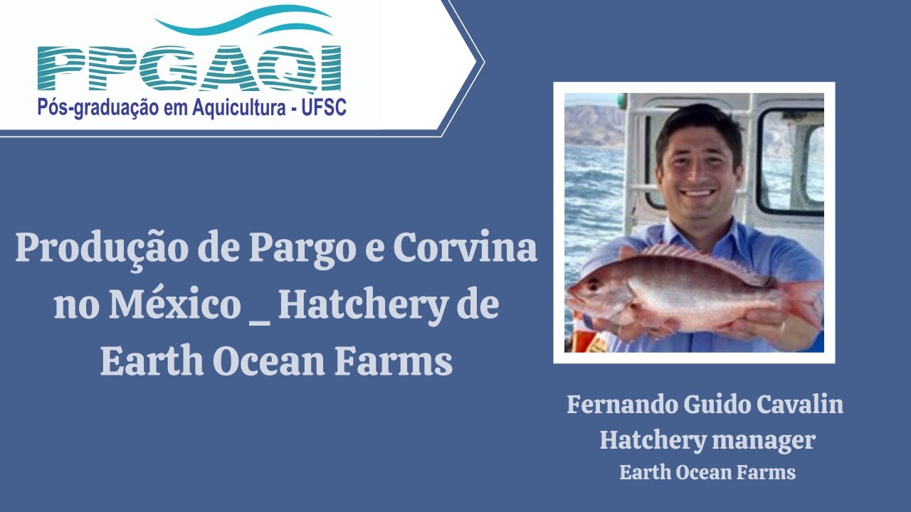Produção de Pargo e Corvina no México _ Hatchery de Earth Ocean Farms ...
