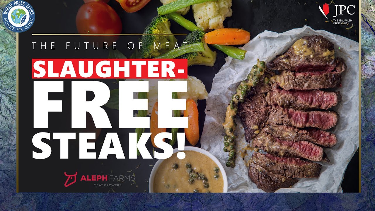 Israel's Safe Cell-based Real Meat | by Aleph Farms - YouTube