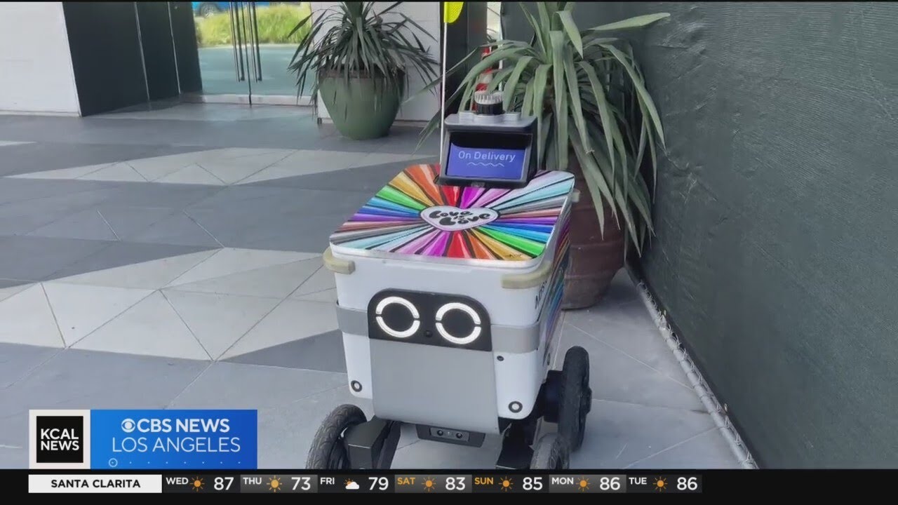 Delivery robots spark debate in Southern California - YouTube