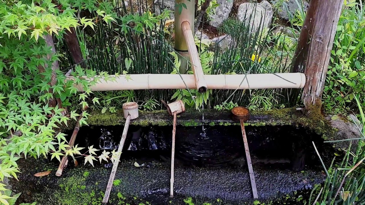 Norbert&Tami in Japan Kyoto 2019 05 - YouTube