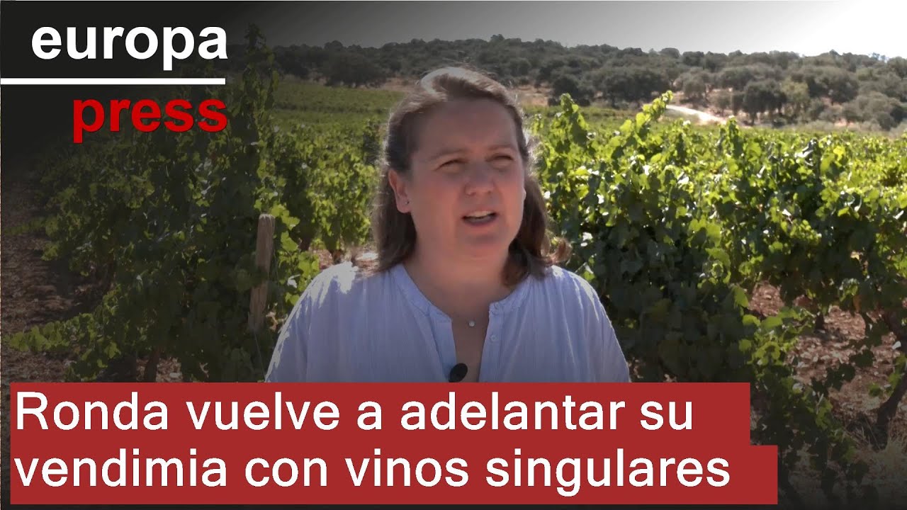Ronda vuelve a adelantar su vendimia, marcada por sus variedades ...