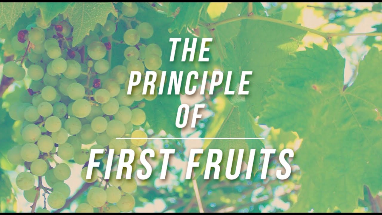 The Principle Of First Fruits Part 2 2015 Dr David Speicher The Principle Of First Fruits Part 2 2015 Dr David Speicher