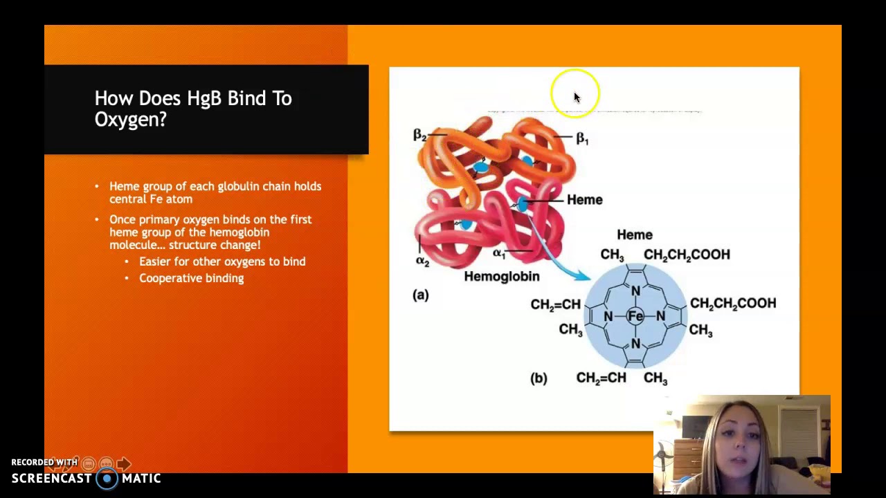 Sickle Cell Final Project - YouTube