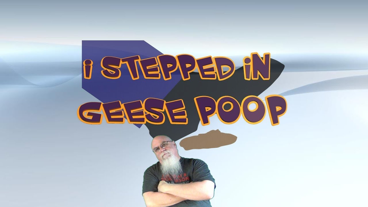 I Stepped In Geese Poop - YouTube