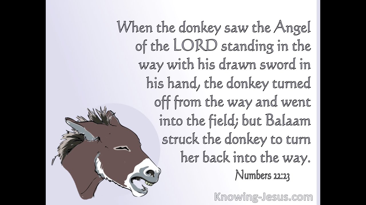 NUMBERS Chapter 22 - YouTube