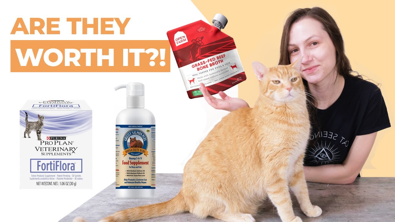 The 5 Best Cat Food Toppers: We Tried Them All - YouTube