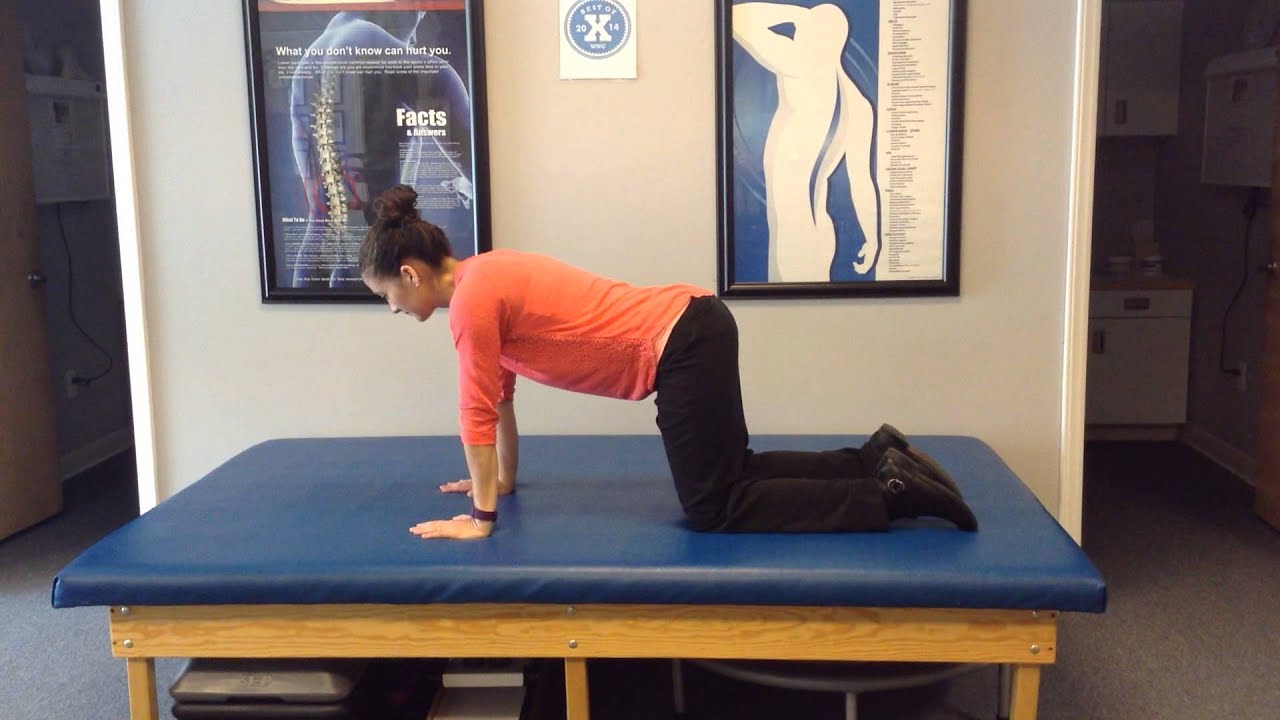 Angry Cat Stretch - YouTube