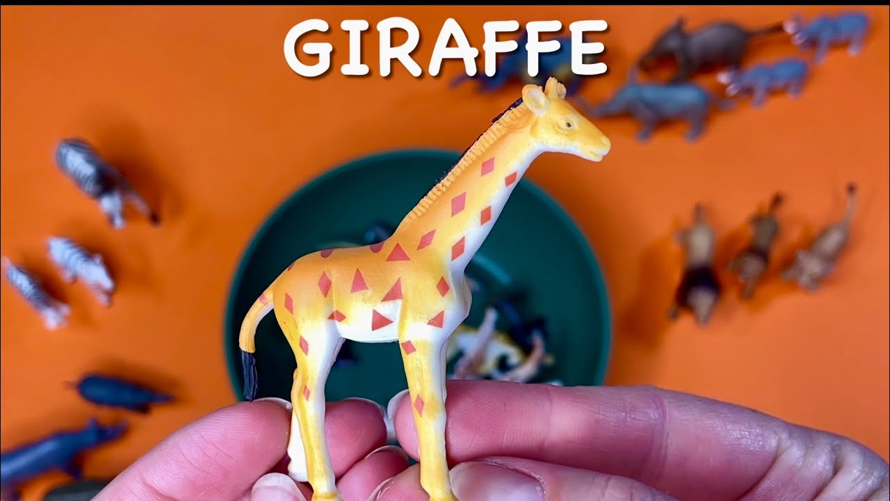 Safari Animal Toy Mini’s - Learn Animal Names for Kids and Toddlers ...
