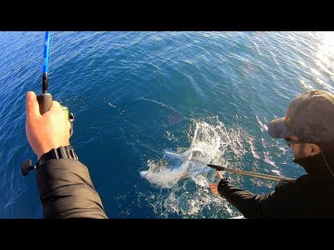 Umulmadık Yerde Öyle Bir Balık Tuttuk Ki !! / Unutulmaz Bir Av Günü