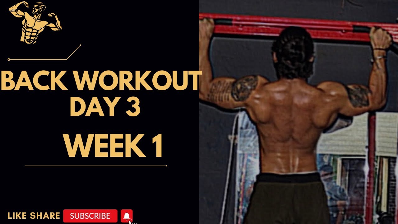 Back Workout Day 3 ( Shredded program) - YouTube
