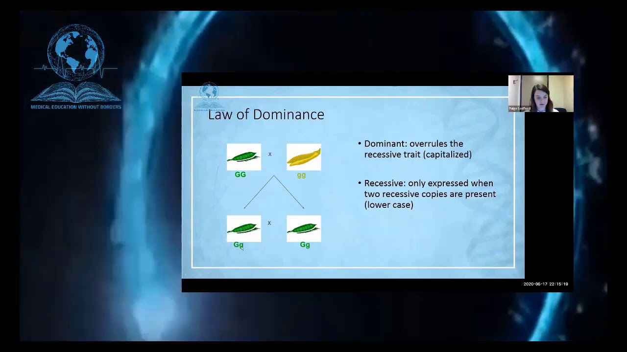 Becoming a GENE-ius on chromosomes and inheritance patterns by Dr.Paige ...