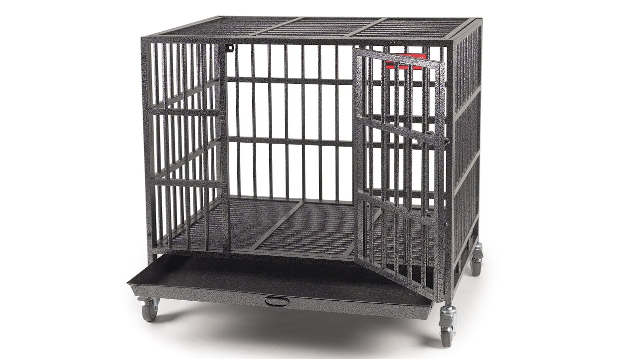 ProSelect Empire Cages - YouTube